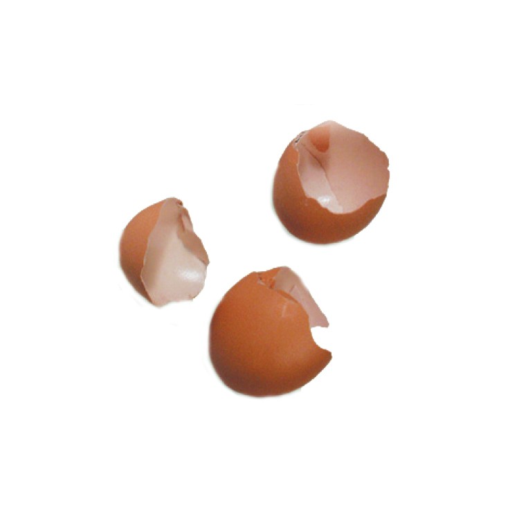 Compostable items | San Francisco Environment Department (SFE)